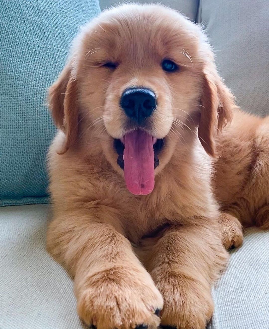 Beli Produk di Monkey Gt Terlengkap Mei 2024 | itemku