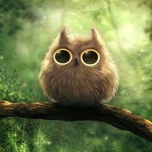 Buy Complete Products in Owl Store RBL | itemku