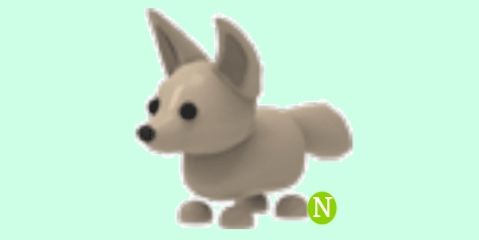 Buy Item Neon fennec fox Roblox 1538480 | itemku