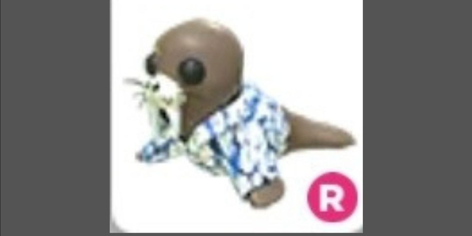 Beli Item Ride Summer Walrus Roblox Terlengkap dan Termurah April 2024 ...