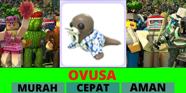 Beli Item Summer Walrus Roblox Terlengkap dan Termurah Agustus 2024 ...