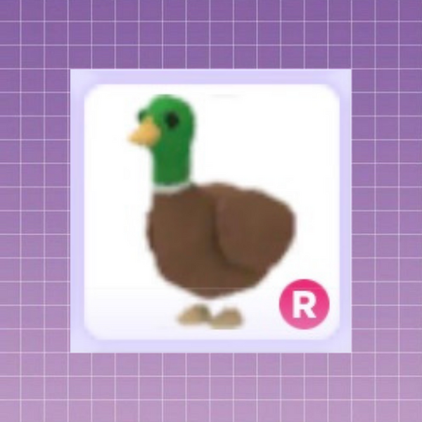 Beli Item Drake R - Adopt Me Roblox Terlengkap dan Termurah Agustus ...