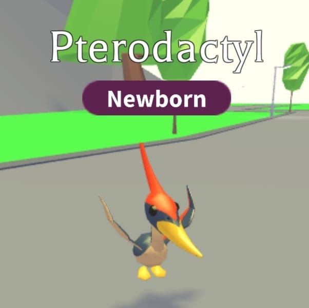 Jual Pterodactyl Adopt me dari Toko Timo | itemku
