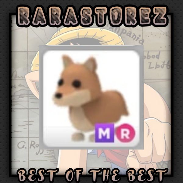 Beli Item MR Dingo - adoptme Roblox Terlengkap dan Termurah Agustus ...