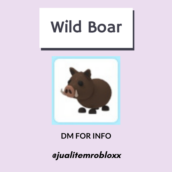 Beli Item Wild Boar - Adopt Me Roblox Terlengkap dan Termurah Agustus ...