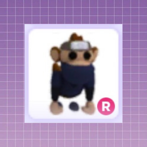 Jual Ninja Monkey R Adopt Me dari adoptmestorez | itemku