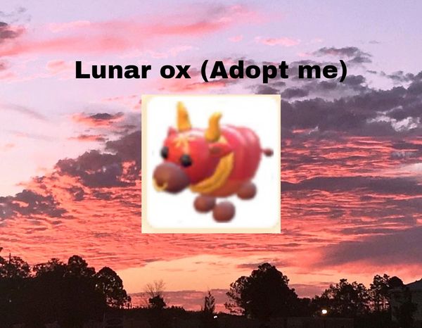 Buy Item Lunar ox (Adopt me) Roblox 1119301 | itemku