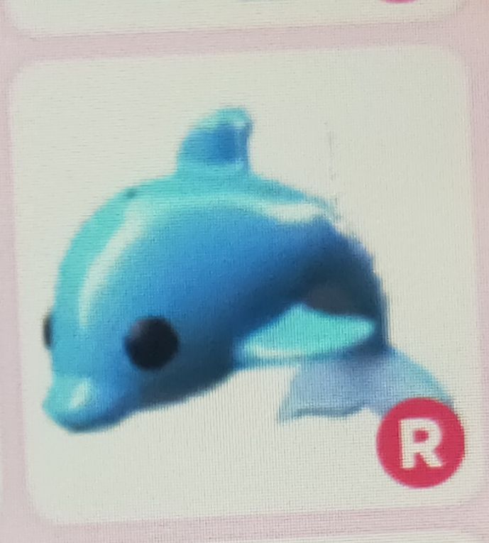 Jual R Dolphin pet adopt me dari Damianos games | itemku