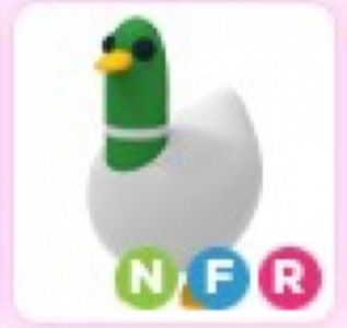 Beli Item NFR Silly duck pet adopt me Roblox Terlengkap dan Termurah ...