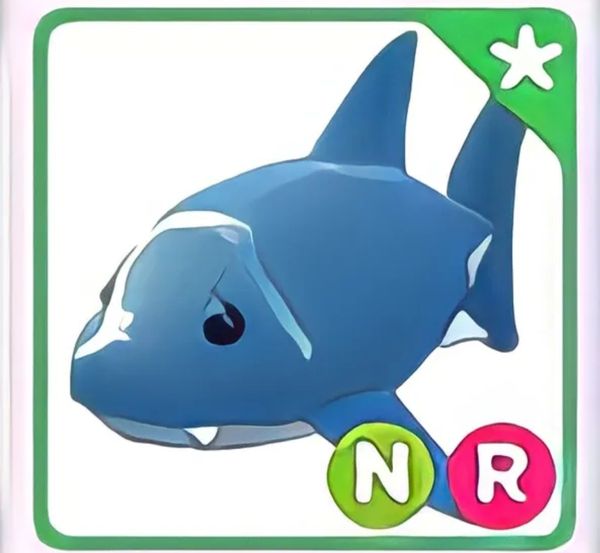 Buy Item NR Shark Adopt Me Roblox 1210123 | itemku