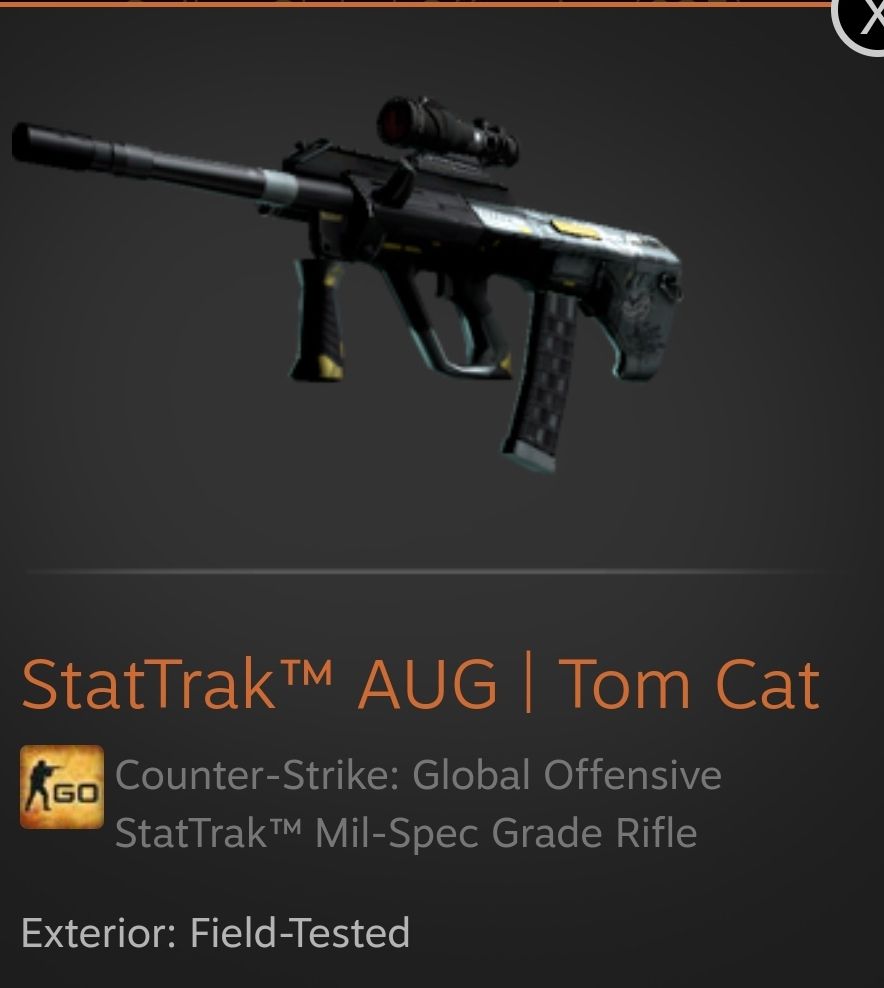 Beli Item Ready Trade StatTrak™ AUG | Tom Cat Counter Strike 2 ...