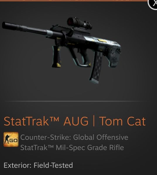 Beli Item Ready Trade StatTrak™ AUG | Tom Cat Counter Strike 2 ...