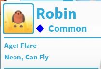 Buy Item Robin NF RBL 1243768 | itemku