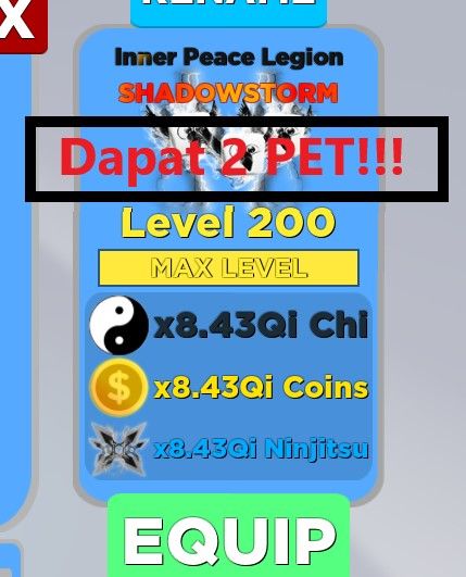 Beli Item 2 PET Shadowstorm Inner Peace Legion - Ninja Legends Roblox ...