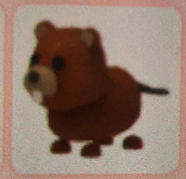 Beli Item Beaver adoptme Roblox Terlengkap dan Termurah November 2024 ...