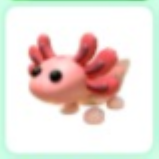 Buy Item Axolotl Normal - Adopt Me ! Roblox 1386643 | itemku