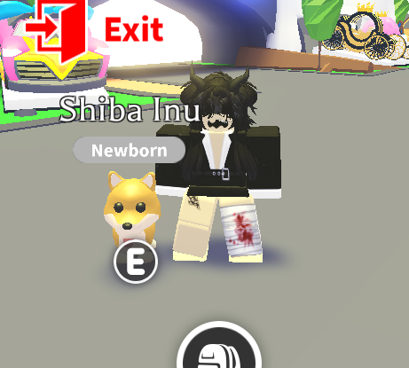 Beli Item Shiba Inu - Adopt Me Pet Roblox Terlengkap dan Termurah Juni ...