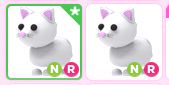 Buy Pet Snow Cat NR pet adopt me Adopt Me Trading Hub 775467 | itemku