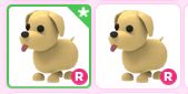 Buy Pet DOg R pet adopt me Adopt Me Trading Hub 759517 | itemku