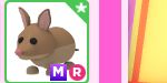 Buy Pet Mega NEon Bandicoot MR pet adopt me Adopt Me Roblox Trading Hub ...