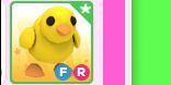 Buy Pet FR Chick Adopt Me Trading Hub 1969162 | itemku