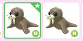 Buy Pet Neon Walrus N Adopt Me Trading Hub 1821564 | itemku