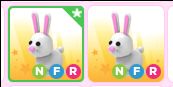 Beli Pet Bunny NFR pet adopt me Adopt Me Roblox Trading Hub Terlengkap ...