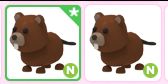 Buy Pet Neon Beaver N Adopt Me Trading Hub 1969315 | itemku