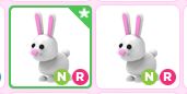 Buy Pet Bunny NR pet adopt me Adopt Me Roblox Trading Hub 773561 | itemku