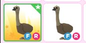 Beli Pet Emu FR pet adopt me Adopt Me Roblox Trading Hub Terlengkap dan ...