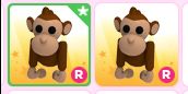 Buy Pet Monkey R pet adopt me Adopt Me Trading Hub 791103 | itemku