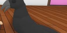 Buy Item FR Crow Pet Adopt Me Roblox 2147231 | itemku