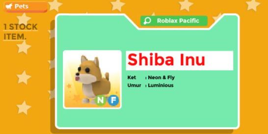 Beli Item Adopt Me - Shiba Inu NF Roblox Terlengkap dan Termurah Juli ...