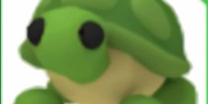 Beli Item NFR Turtle Adopt Me Roblox Terlengkap dan Termurah Juni 2024 ...