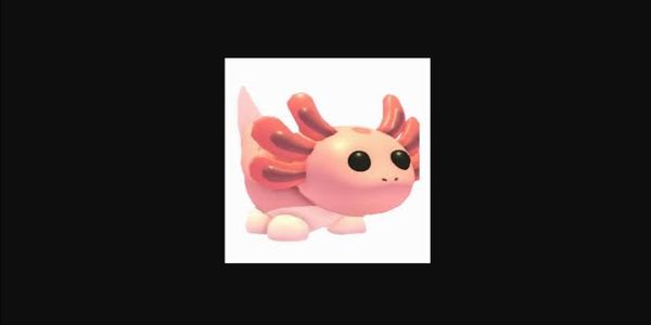 Buy Item Axolotl (Normal) || Adopt Me Roblox 1618689 | itemku