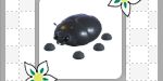 Beli Item Giant Black Scarab - Adopt Me Roblox Terlengkap dan Termurah ...