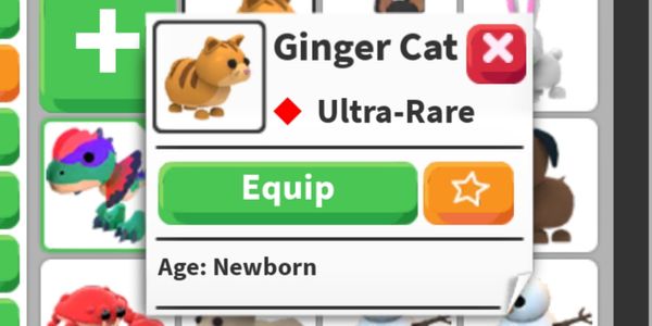 Beli Item Adopt Me Ginger cat Ultra Rare Pet Adoptme Roblox Terlengkap ...