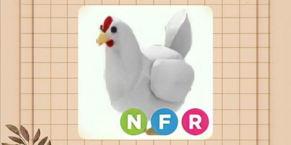 Beli Item Chicken NFR - adopt me Roblox Terlengkap dan Termurah ...