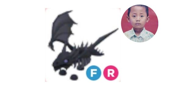 Buy Item FR Shadow Dragon RBL 1632595 | itemku