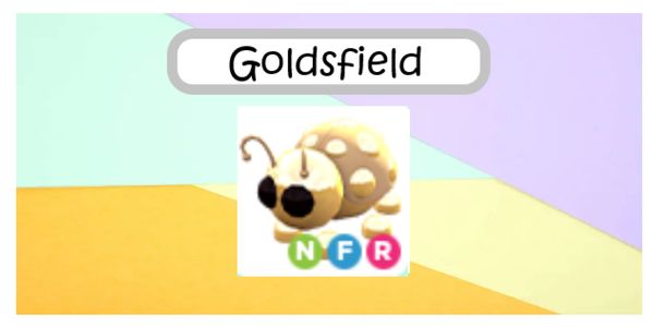 Buy Item Golden Ladybug NFR - Adopt Me Roblox 1687138 | itemku