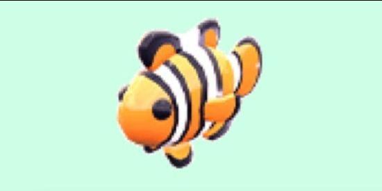 Beli Item Adopt Me Clownfish nemo Roblox Terlengkap dan Termurah ...