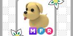 Beli Item MFR Dog - Adopt Me Roblox Terlengkap dan Termurah Juli 2024 ...