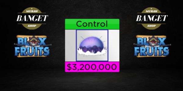 Buy Item Control Fruit Blox Fruits RBL 1713352 | itemku
