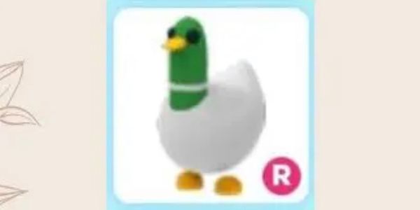Buy Item Silly Duck Ride Langka Roblox 1026894 | itemku