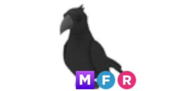 Buy Item MFR Crow Roblox 1731824 | itemku