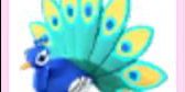 Beli Item Peacock - Adopt Me Roblox Terlengkap dan Termurah Agustus ...