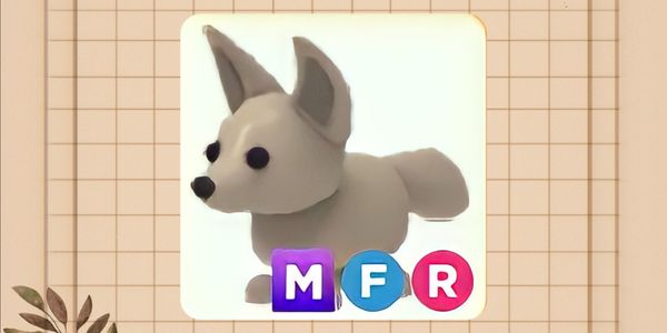 Beli Item Fennec Fox MFR - adopt me Roblox Terlengkap dan Termurah ...