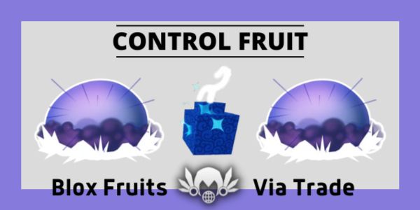 Beli Item Control Fruit Blox Fruits Roblox Terlengkap dan Termurah Juli ...