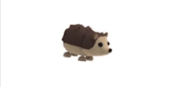 Beli Item Adopt Me Hedgehog Roblox Terlengkap dan Termurah Oktober 2023 ...