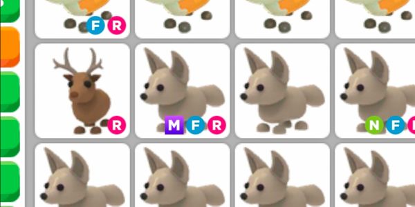 Beli Item Fennec Fox Pet Adopt Me Roblox Terlengkap dan Termurah ...